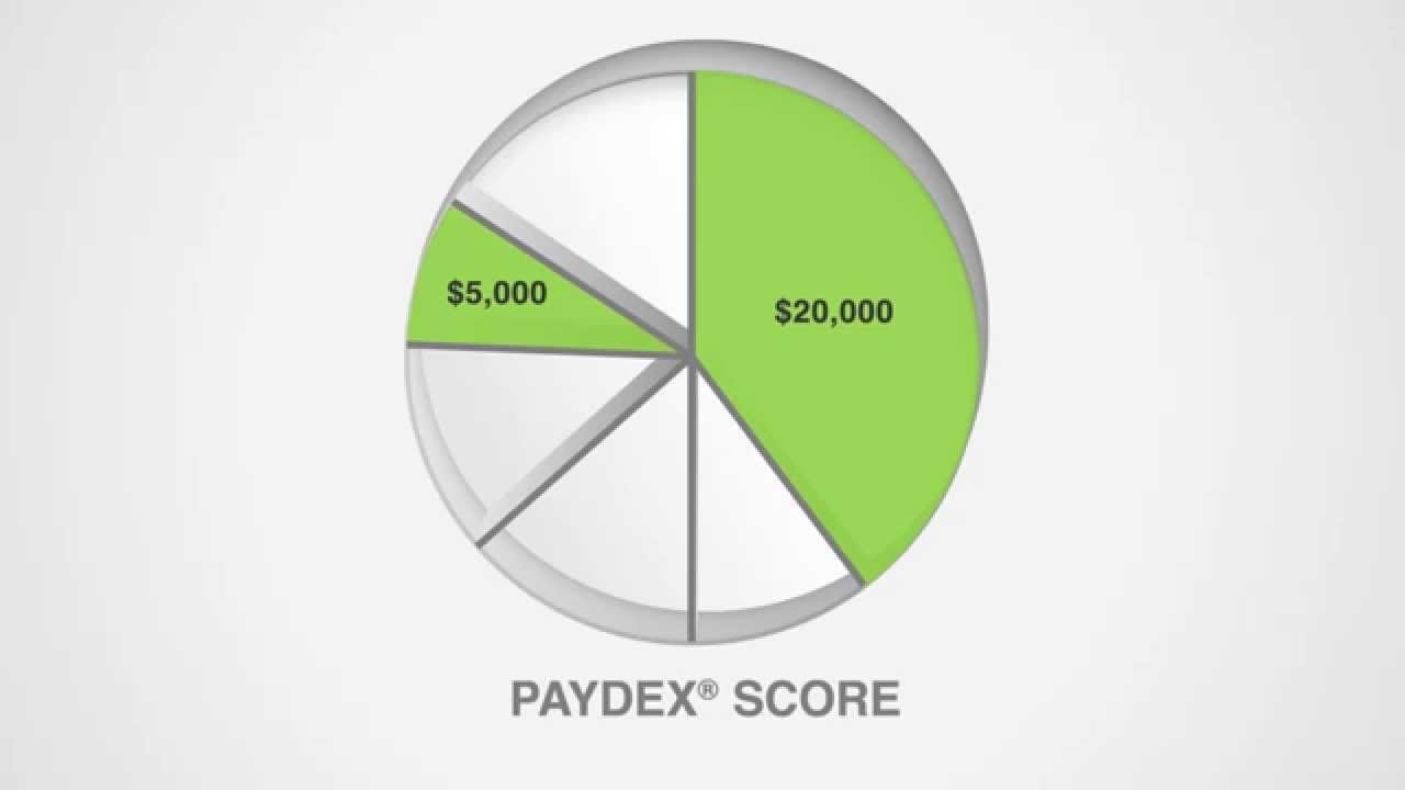 A Dun & Bradstreet Paydex Score Tip - DisputeSuite